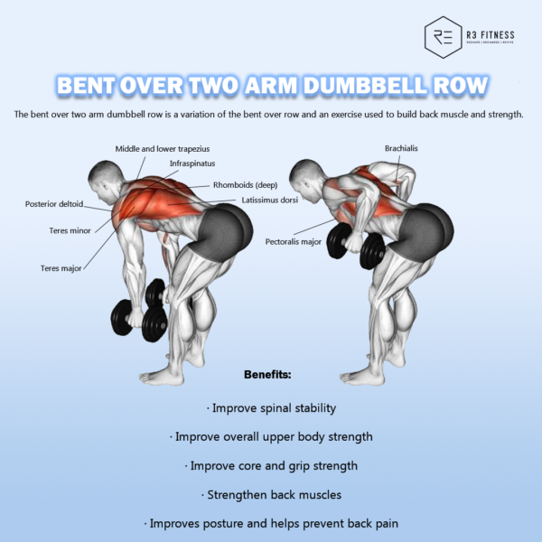 Benefits of Bent over two arm dumbbell row - R3 Fitness Benefits of Bent over two arm dumbbell row - R3 Fitness